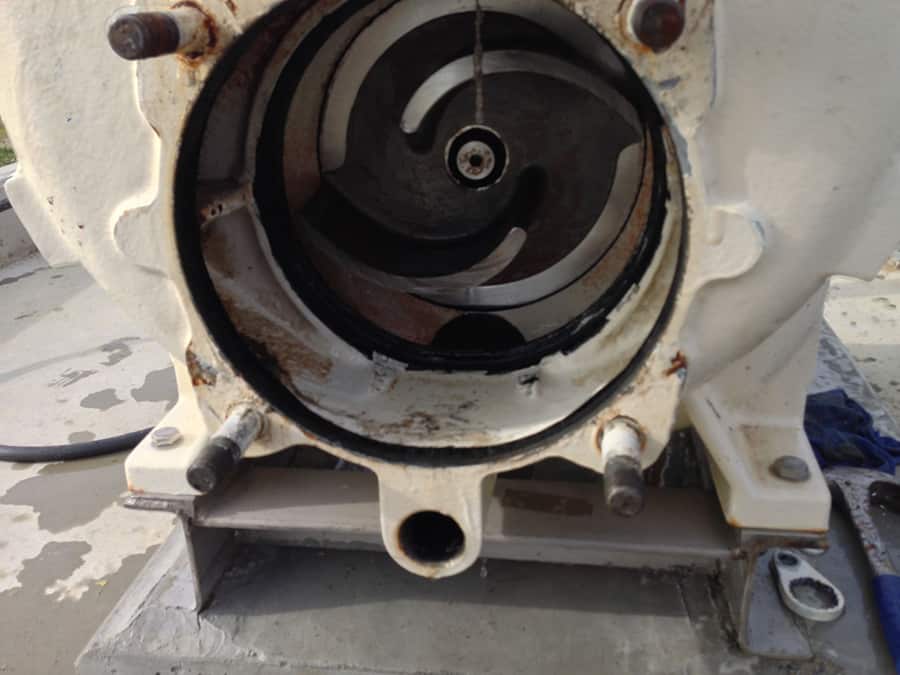 STP’s struvite pump choking problems solved - Pump Industry Magazine