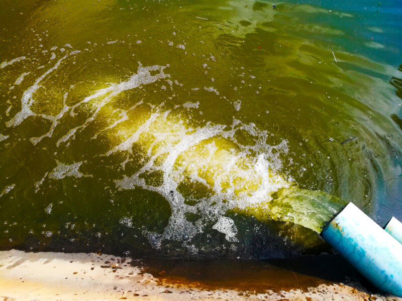 wa-dairy-effluent-systems-upgraded-to-protect-geographe-waterways