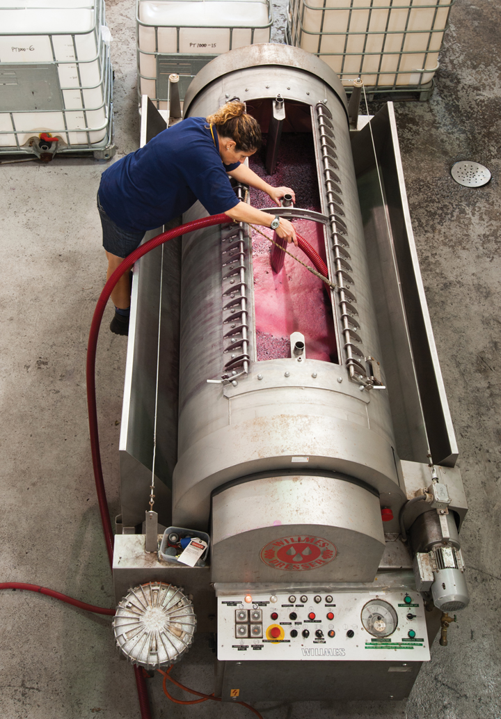 Pump the grapes: the careful balance of wine pumps - Pump Industry Magazine