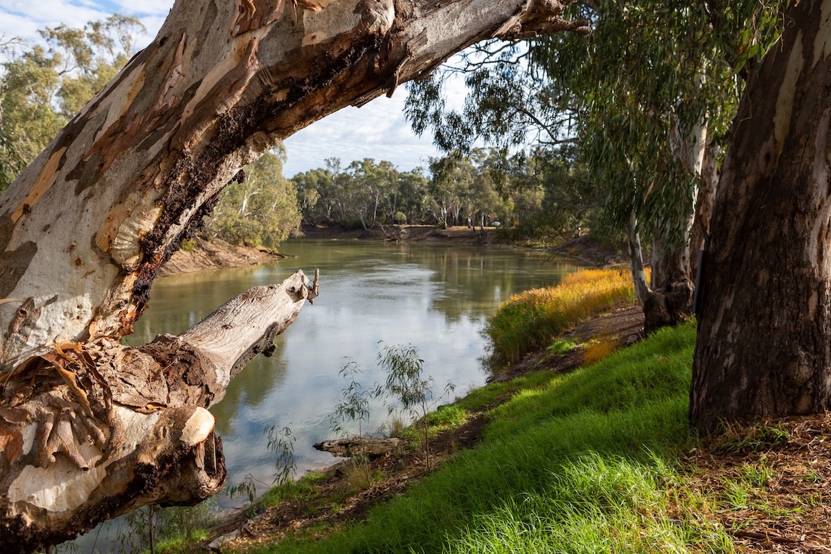 Investing in safer water for Wentworth Shire - Pump Industry Magazine